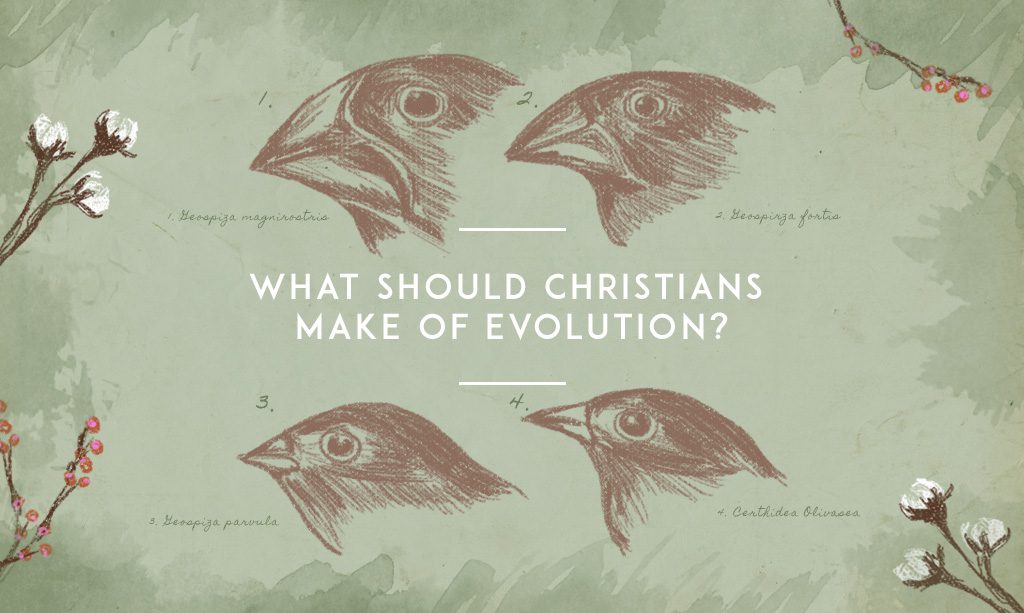 What Should Christians Make of Evolution? – YMI