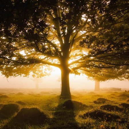 YMI - Ask the Why, Know Your Purpose - YMI