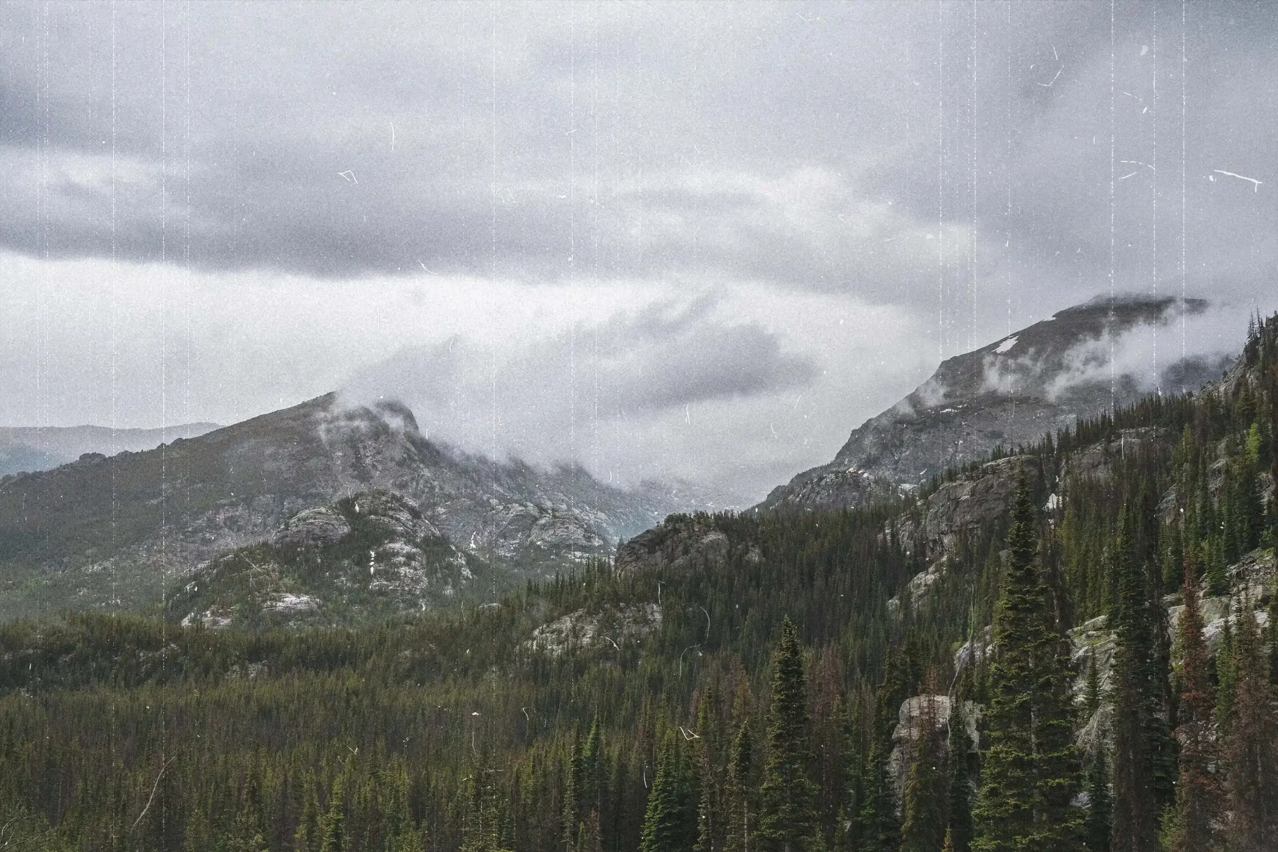 ODB: Choosing to Follow God - YMI