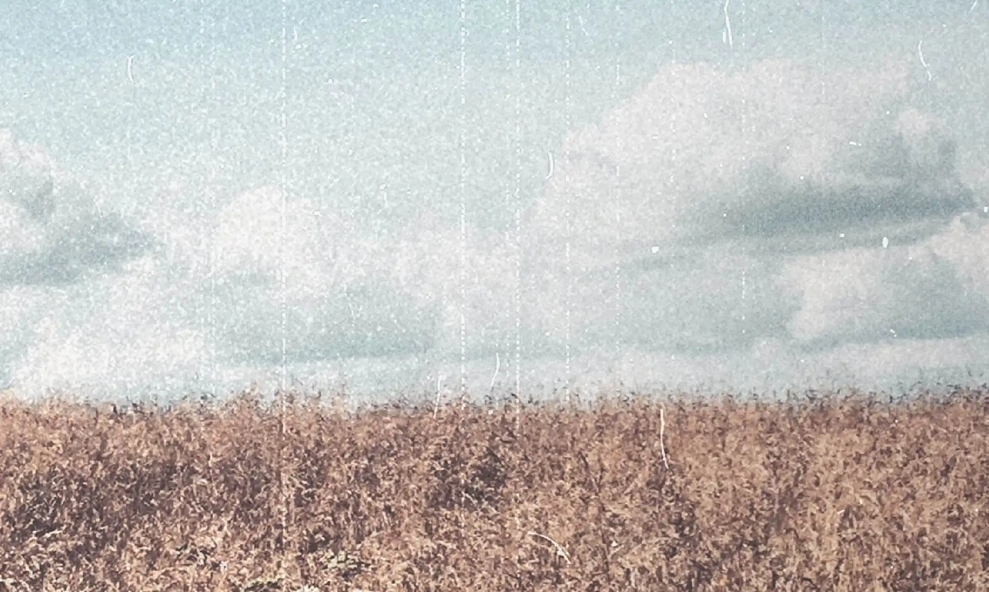 ODB: Loving Our Enemies - YMI