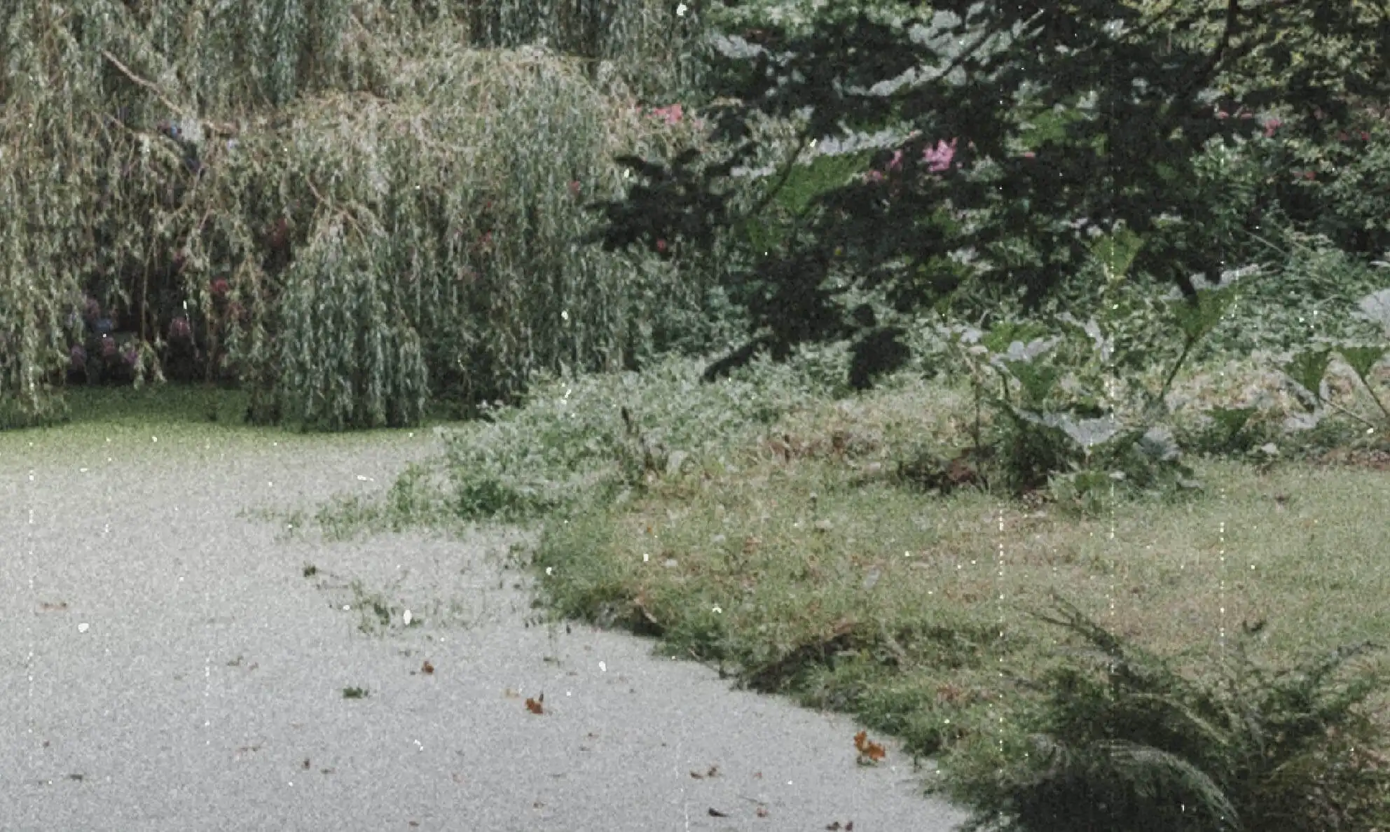 ODB: Sweet Sleep - YMI