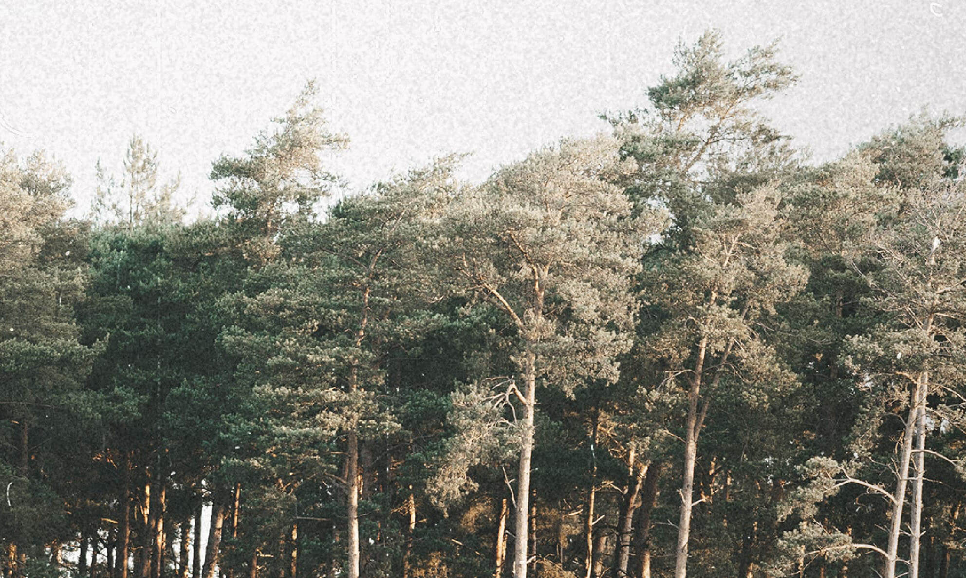 ODB: Speaking as God Helps Us - YMI