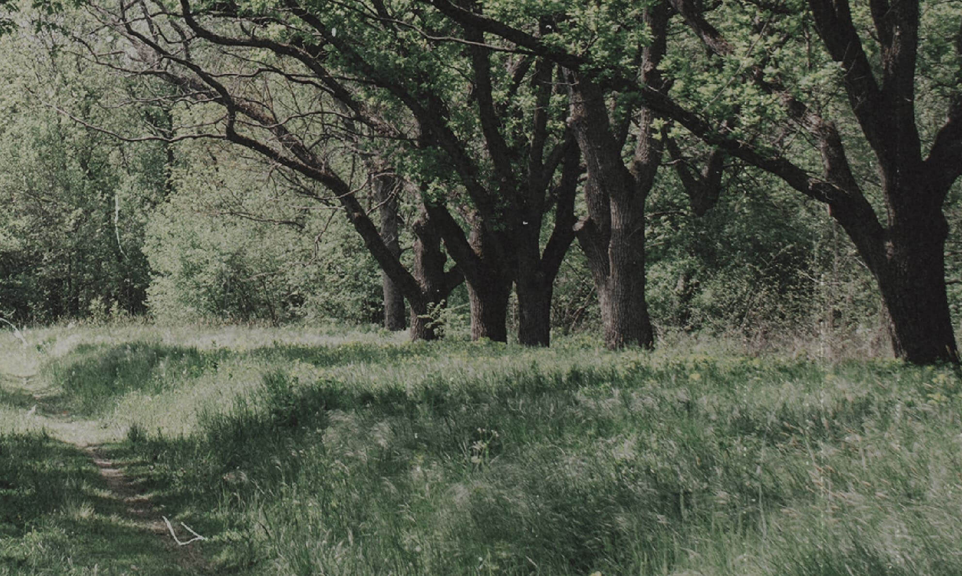 ODB: Using What God Provides - YMI