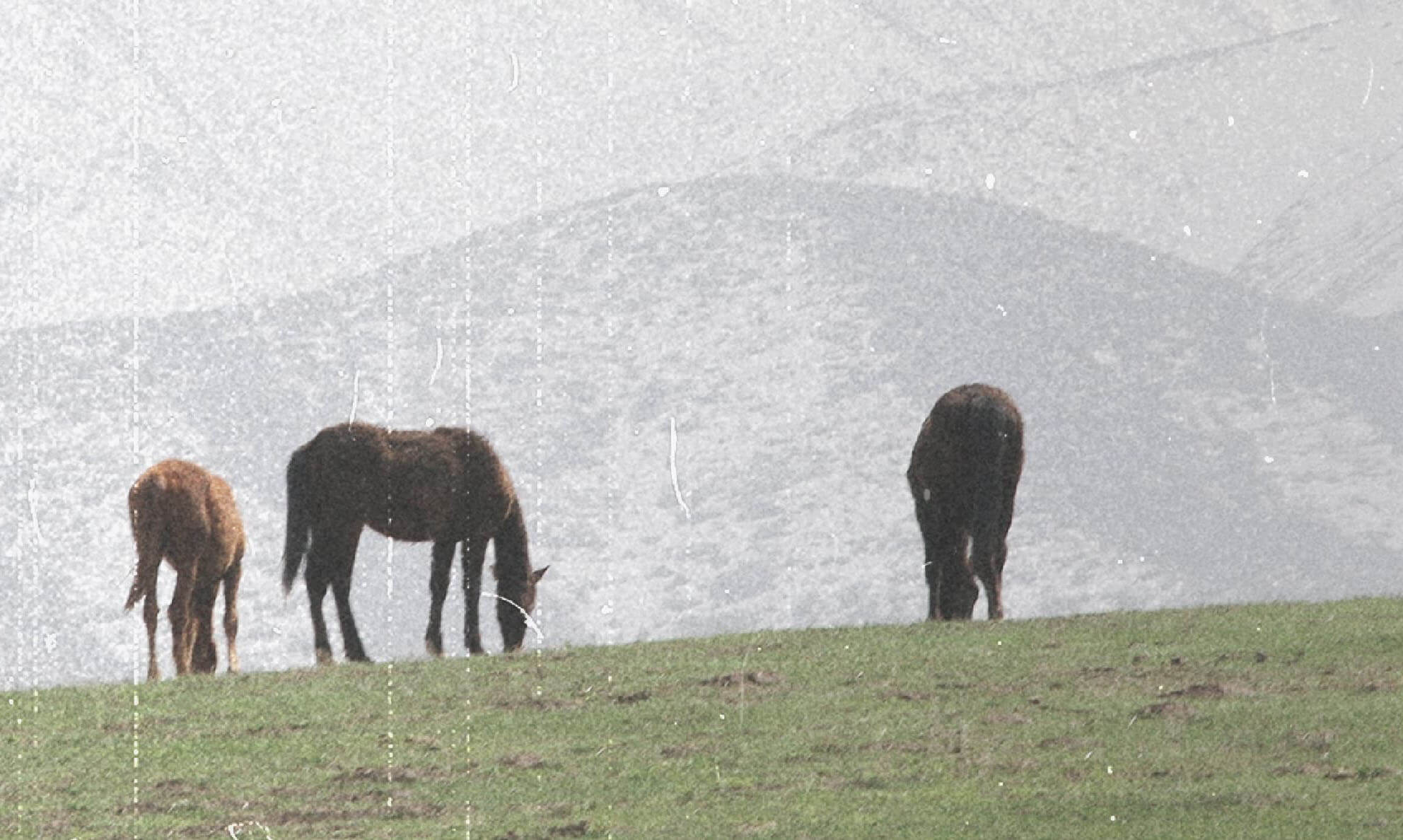 ODB: Master in Heaven - YMI