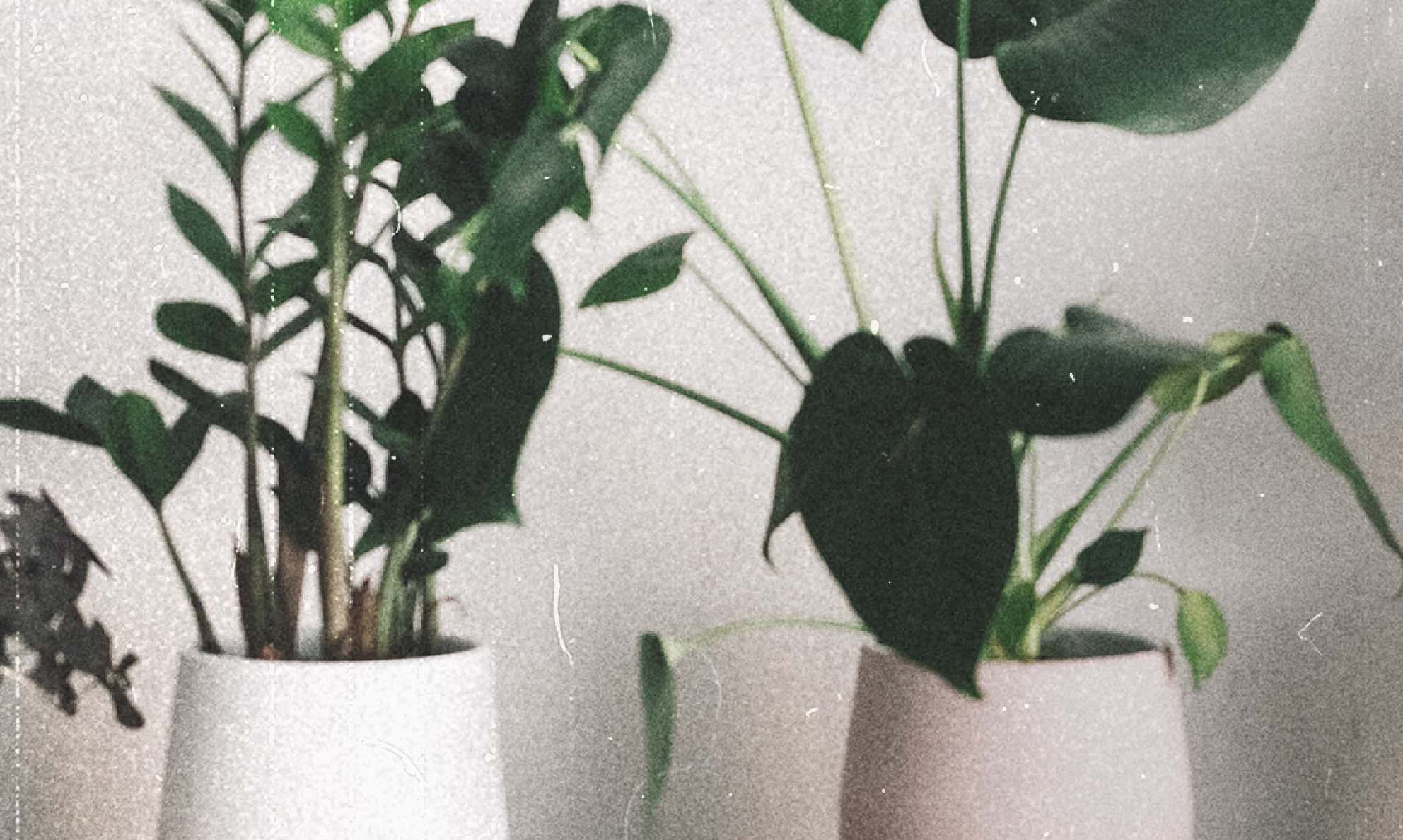 ODB: Joy in the City - YMI