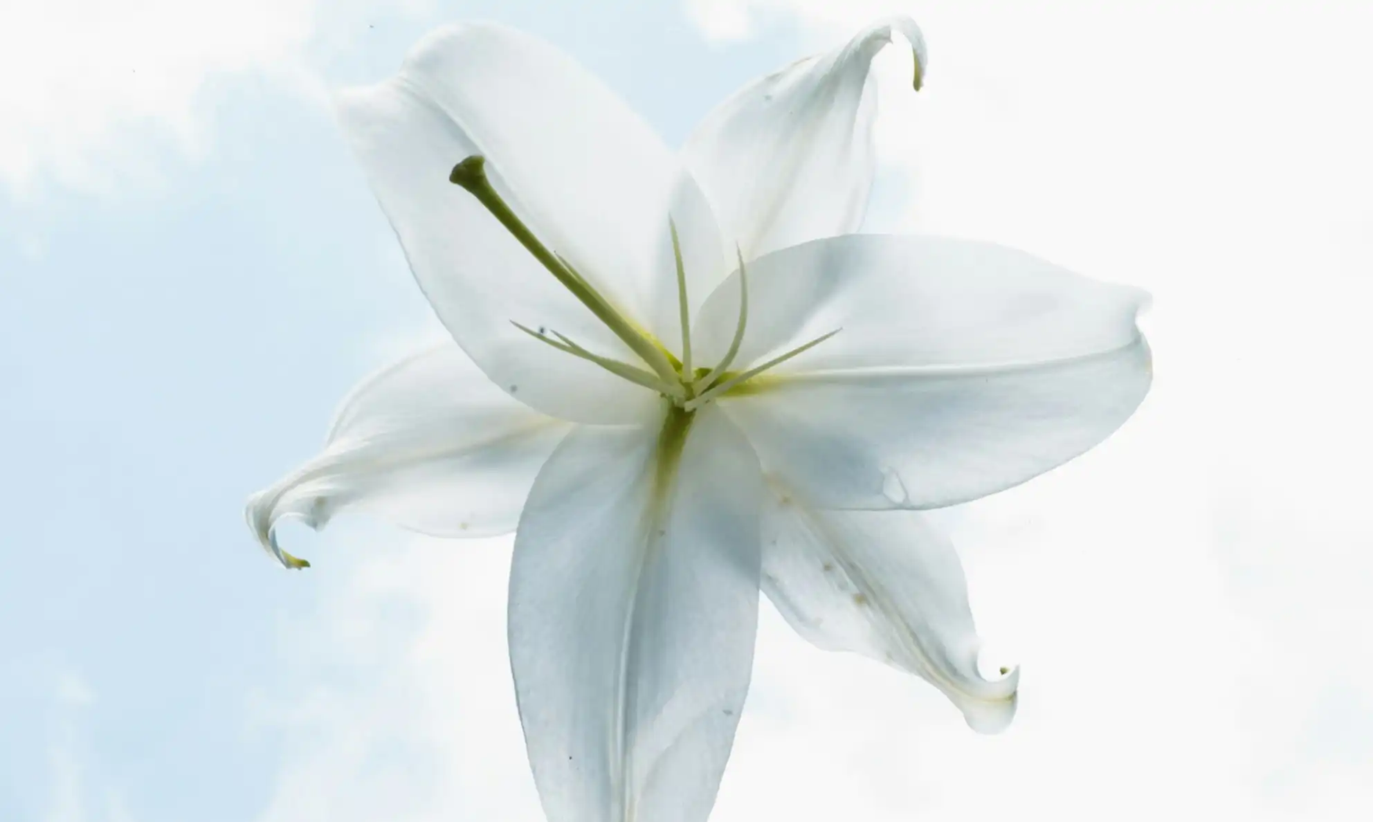 ODB: Big-Hearted Giving - YMI