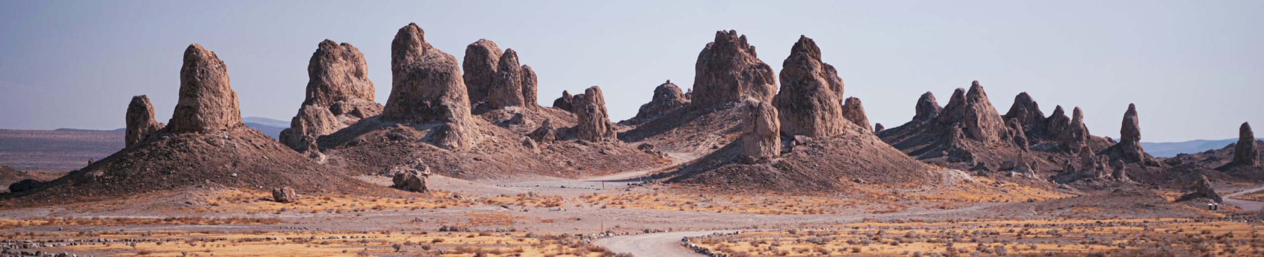 ODB: Waiting for God - YMI