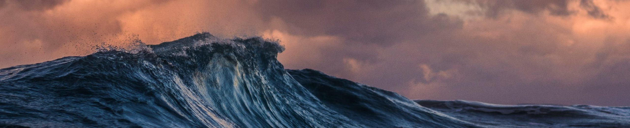 ODB: Counting the Cost - YMI