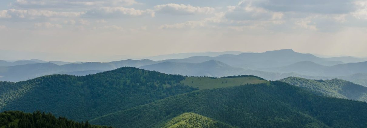 ODB: Just Pray - YMI