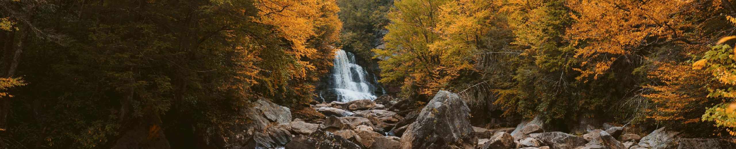 ODB: Our Worth in Christ - YMI