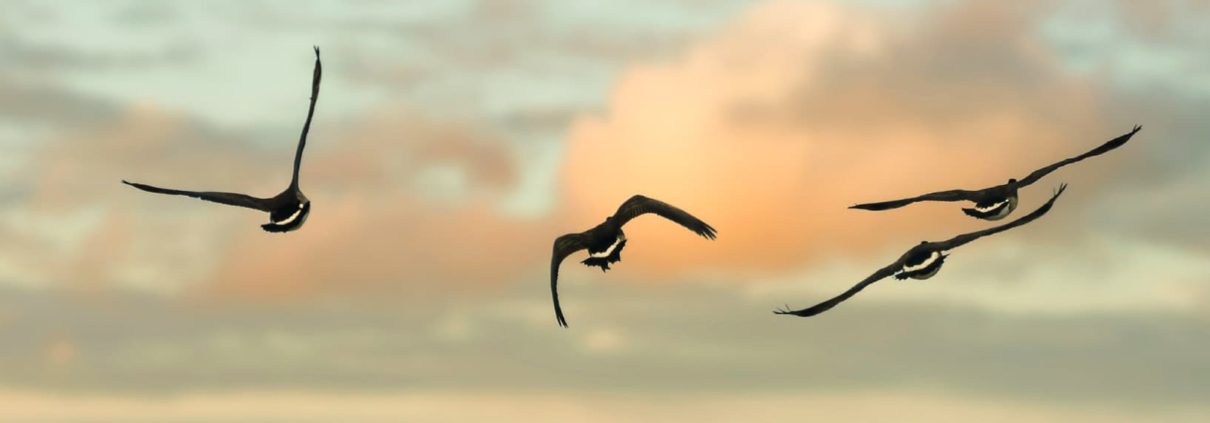 ODB: Don’t Do This Alone - YMI