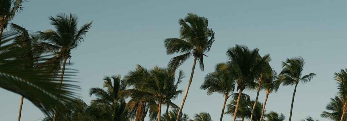 ODB: Positive Graffiti - YMI