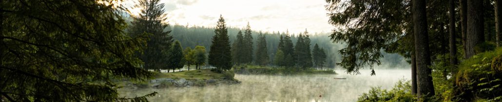 ODB: Growth Through Pain - YMI