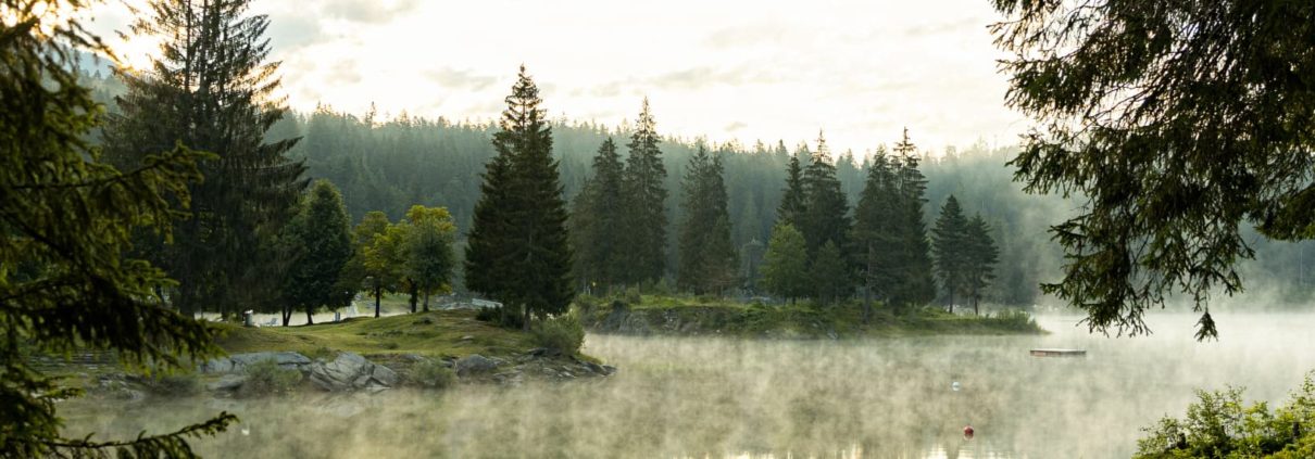 ODB: Growth Through Pain - YMI