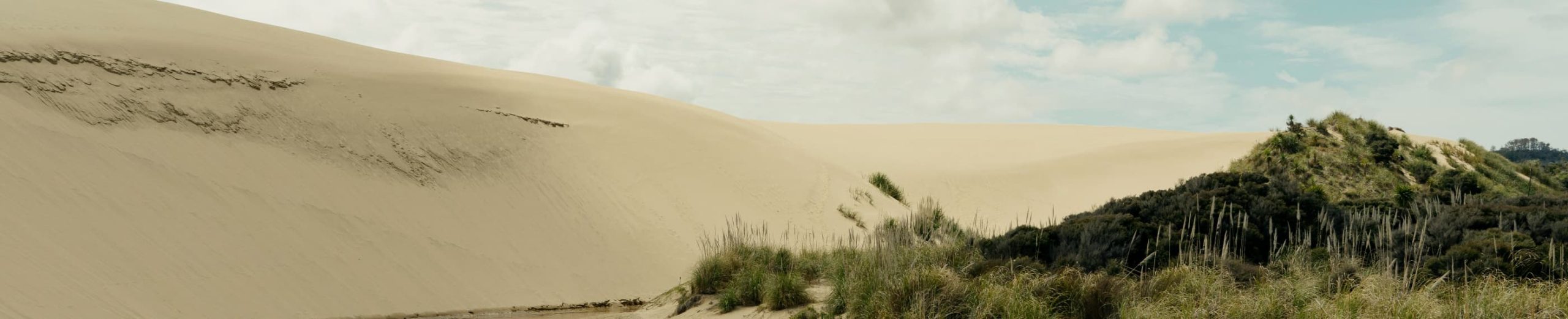 ODB: God Sees Me - YMI