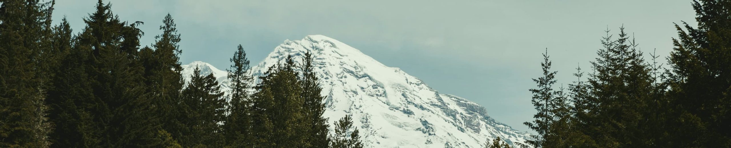 ODB: Joy and Strength in God - YMI